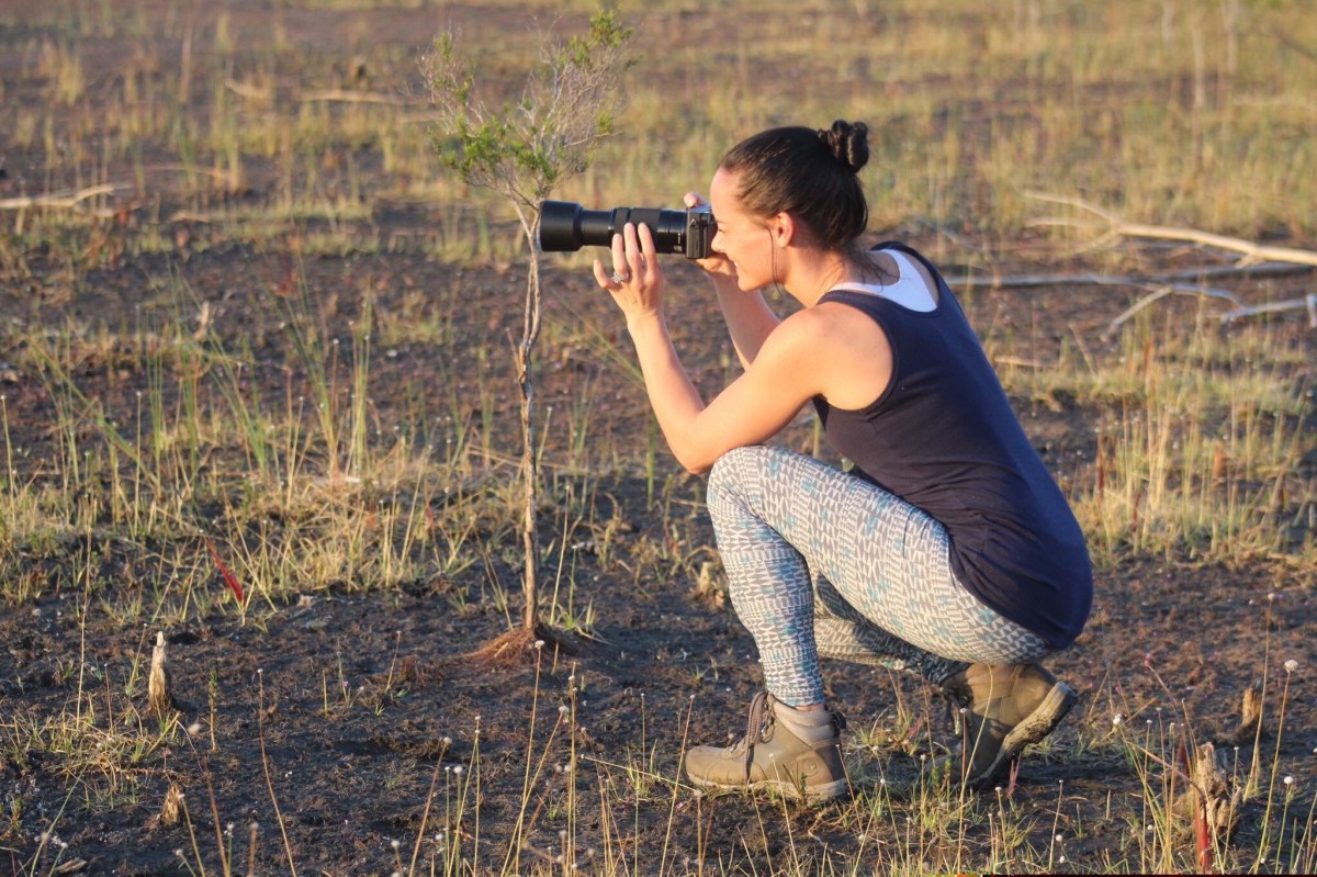 Contact or Work with Me – Kelly Nicole Travel